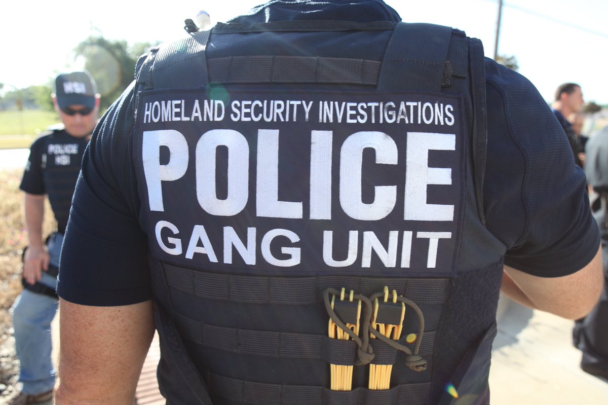 Gilet Gang Unit et K9-Unit - Urgences Mods